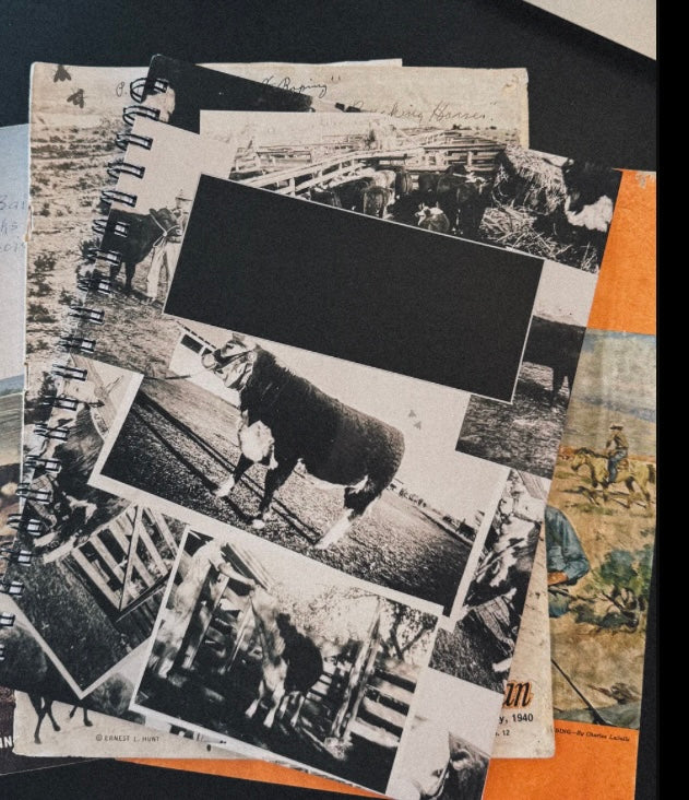 Notebook herfy – Southwest Bedazzle